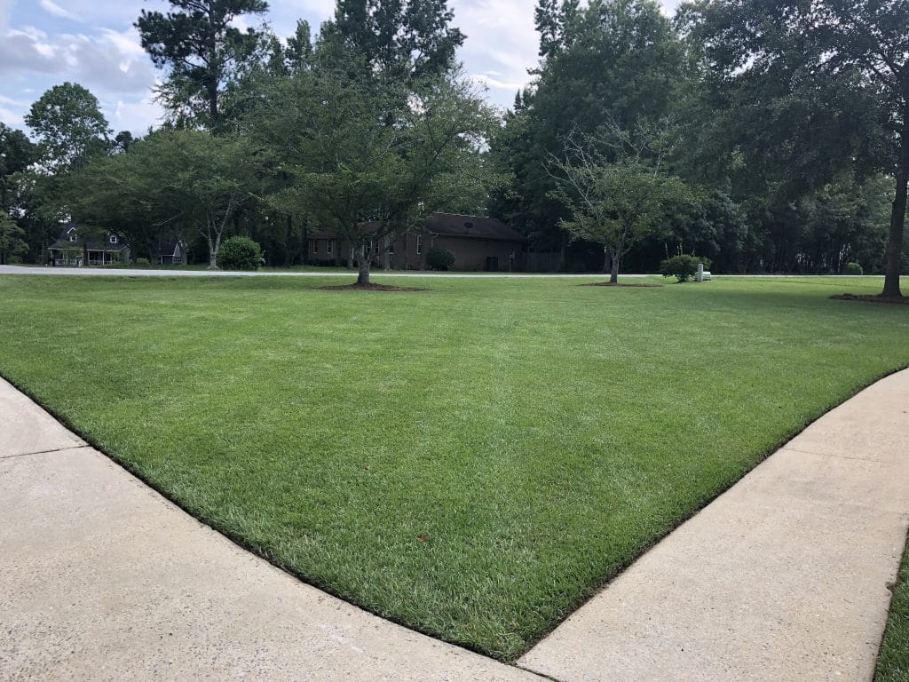 Watering your lawn is essential to your lawn's health - Liquid Lawn