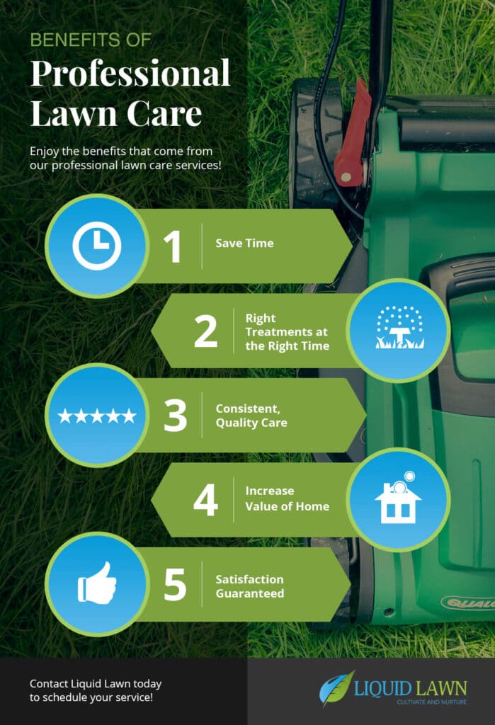 Lawn Care Frequently Asked Questions - Lawn Care Basics For Macon And ...