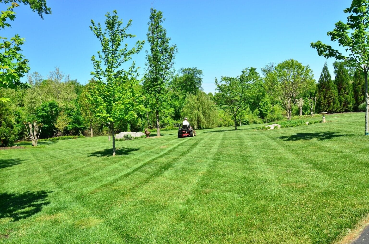 An Overview of Year-Round Lawn Care - Liquid Lawn